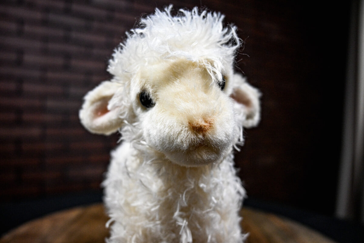Small Traditional Lamb – project laMB