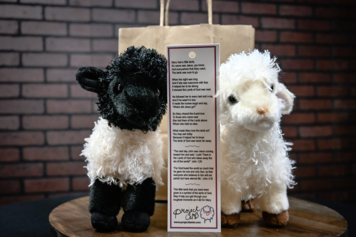 Shop – project laMB