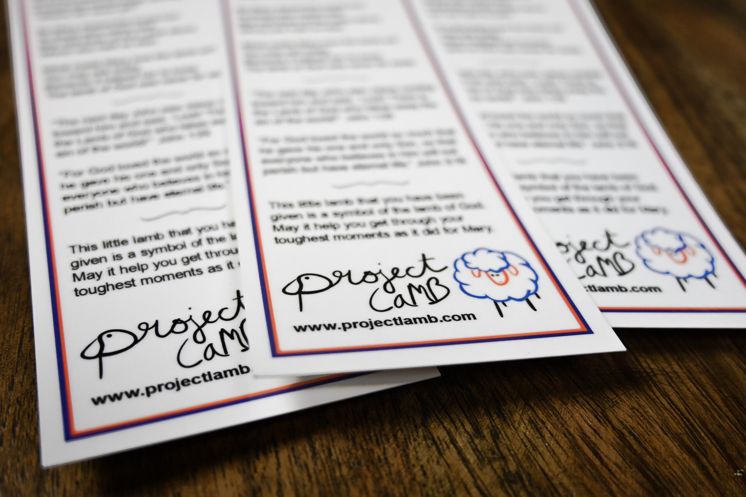 About Us – project laMB